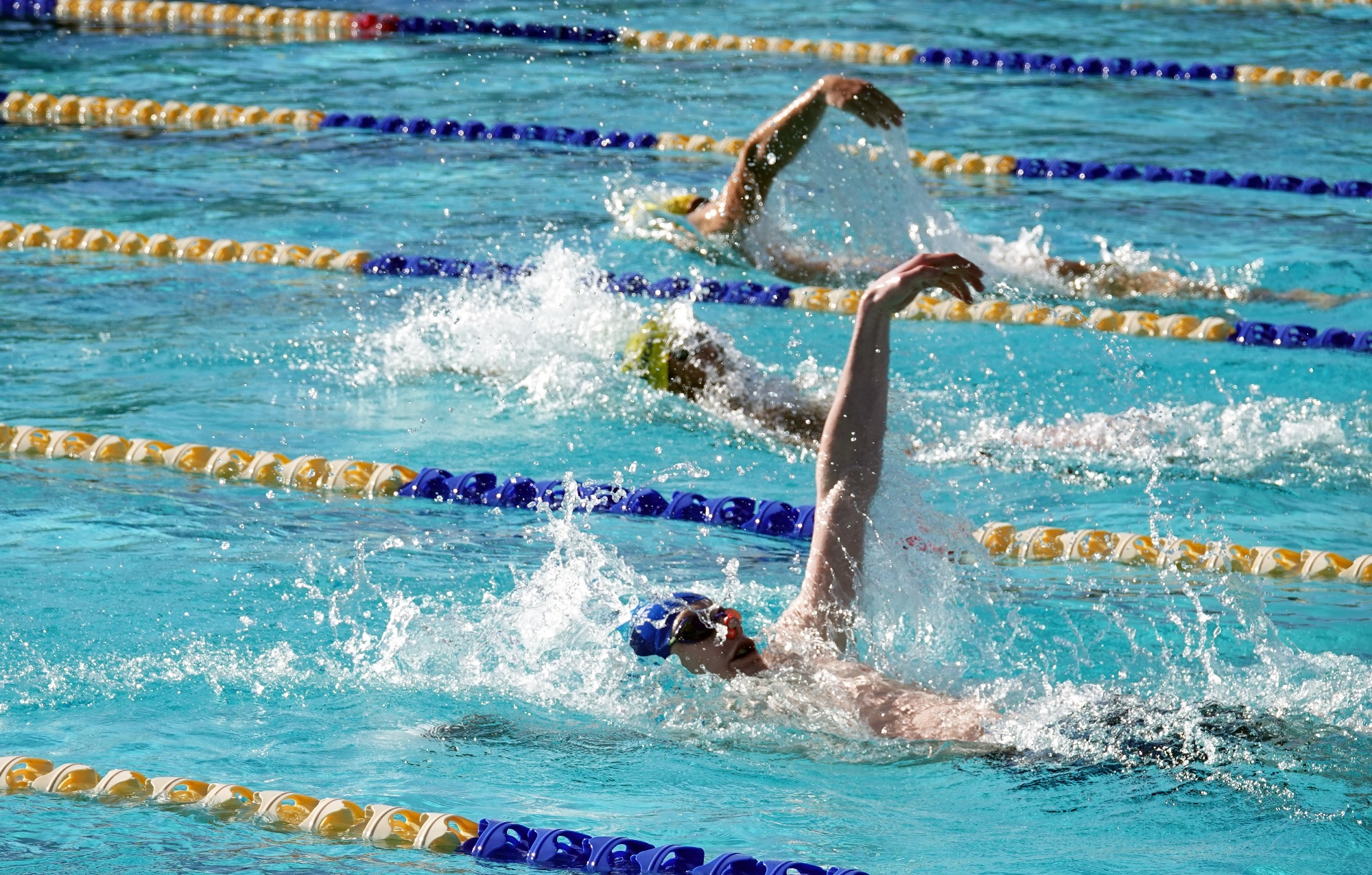 Riptide Swim Team Home