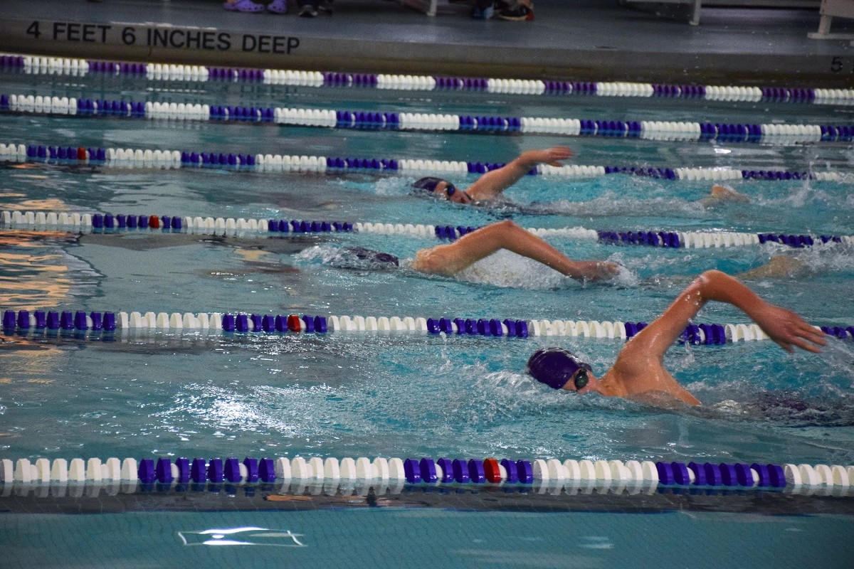 Saratoga Regional YMCA Stingrays Home