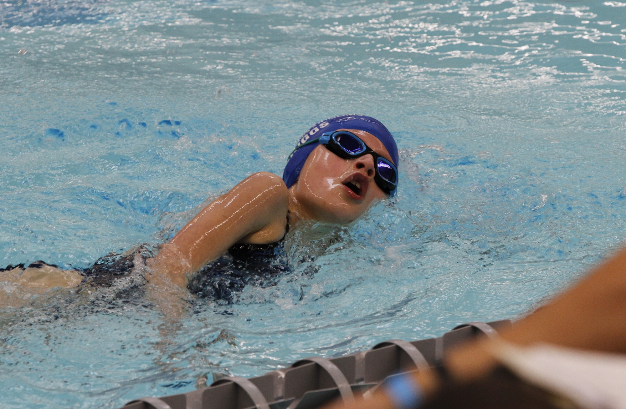 Three Rivers Swimming