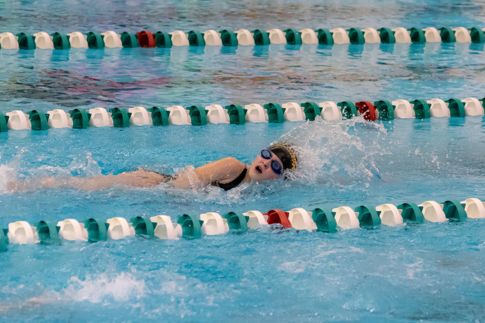 Albany Starfish Swim Club Home