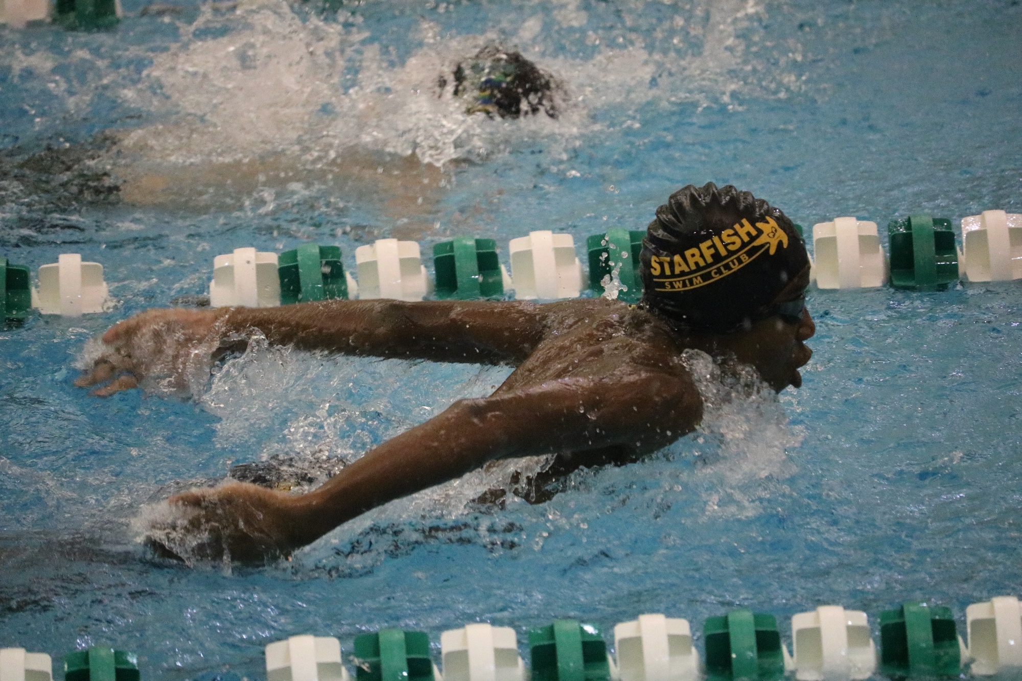 Albany Starfish Swim Club Home