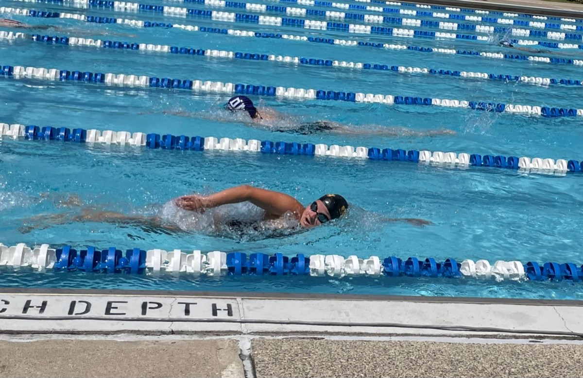 Albany Starfish Swim Club Home