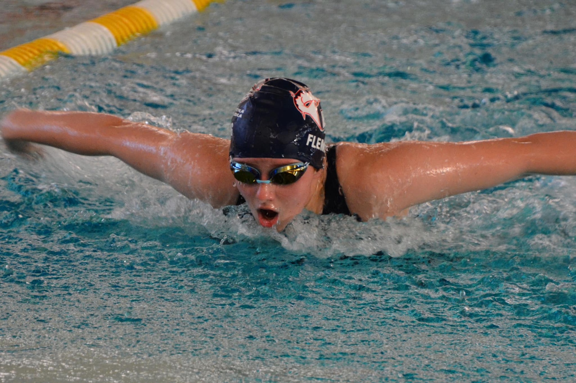 Baranof Barracudas Swim Club Home