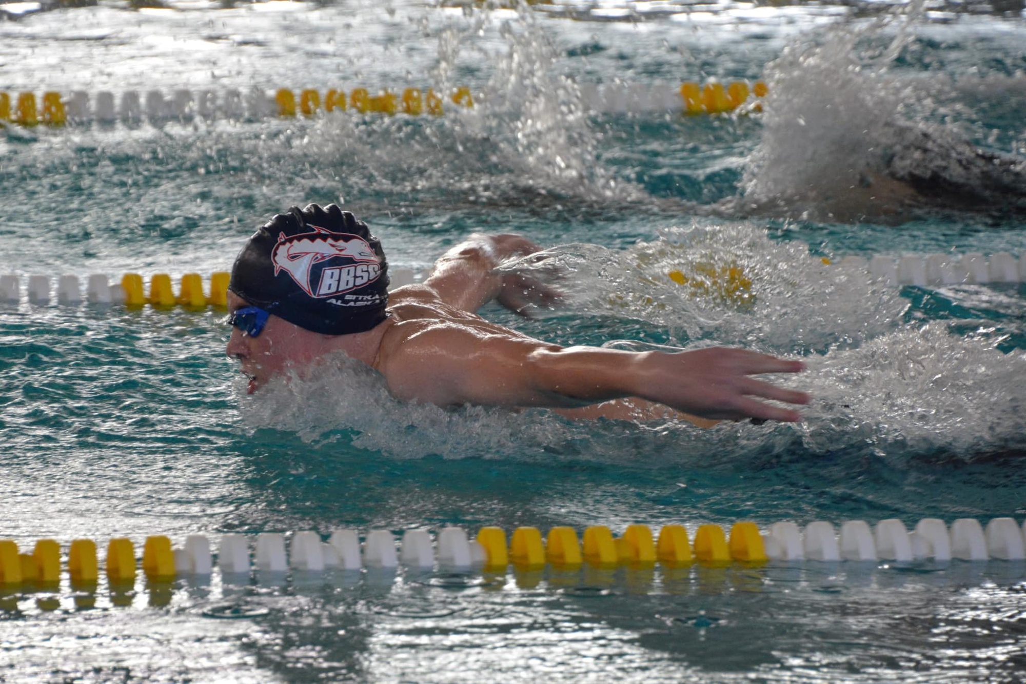 Baranof Barracudas Swim Club Home