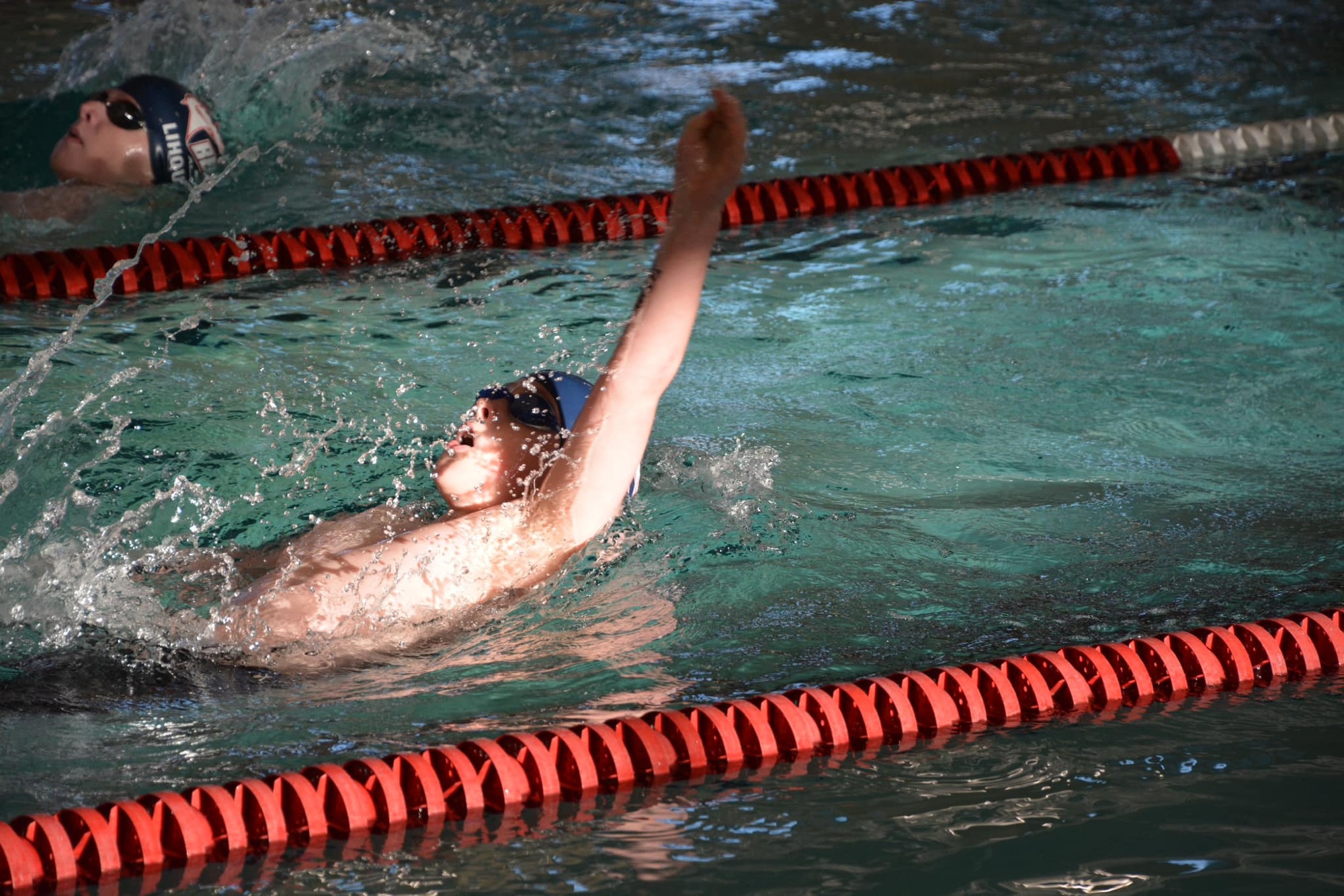 Baranof Barracudas Swim Club Home