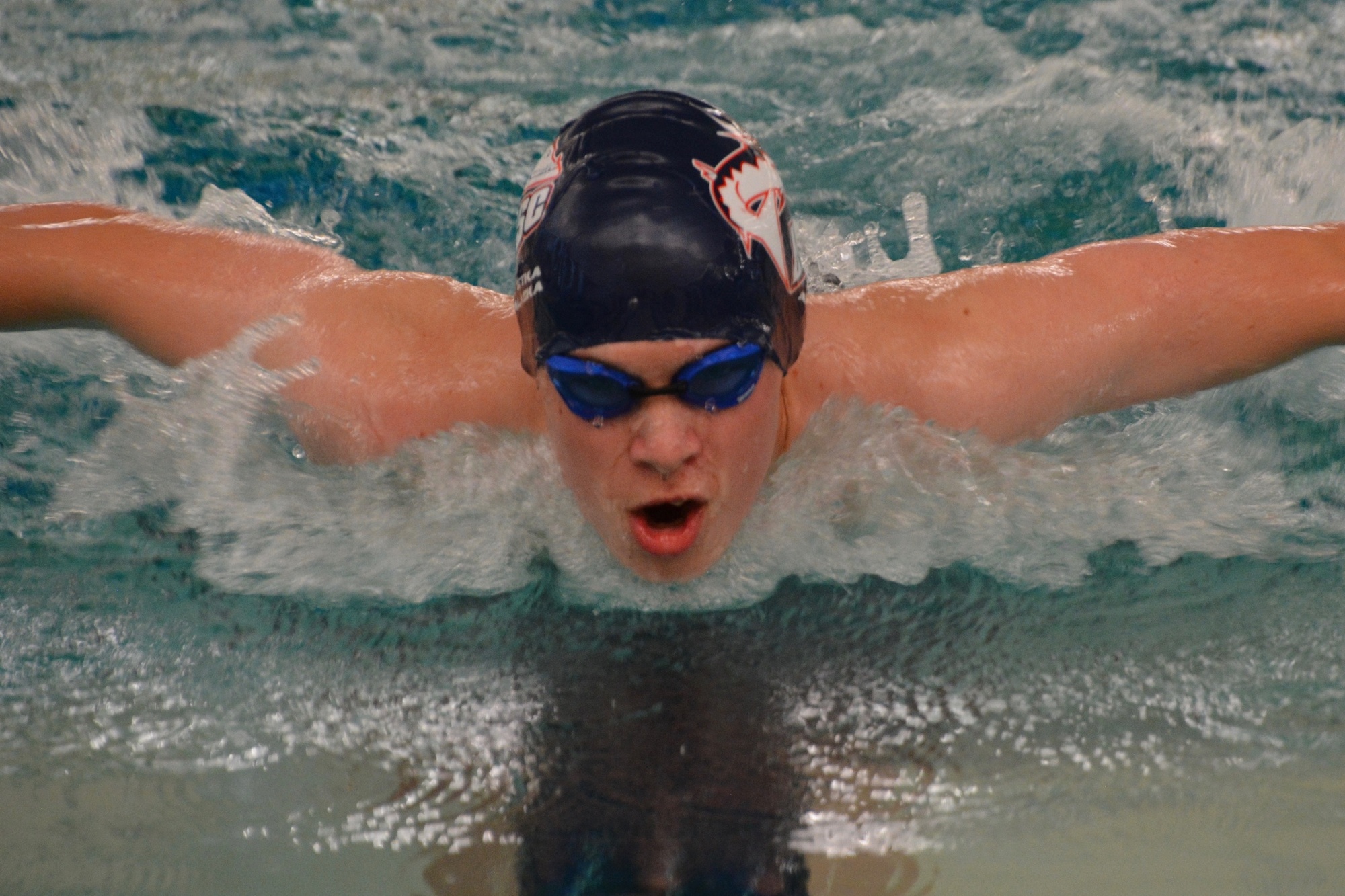 Baranof Barracudas Swim Club Home