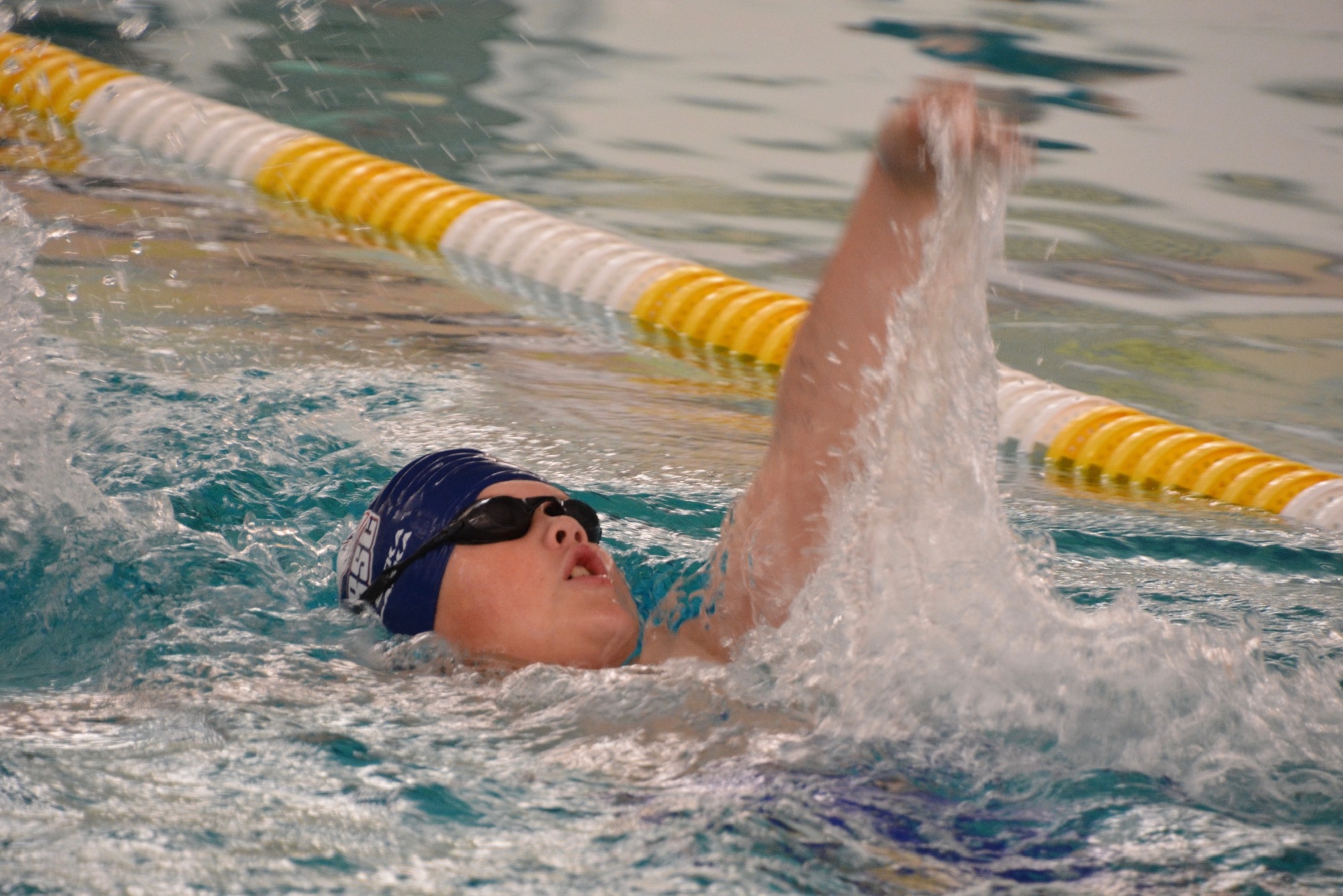 Baranof Barracudas Swim Club Home