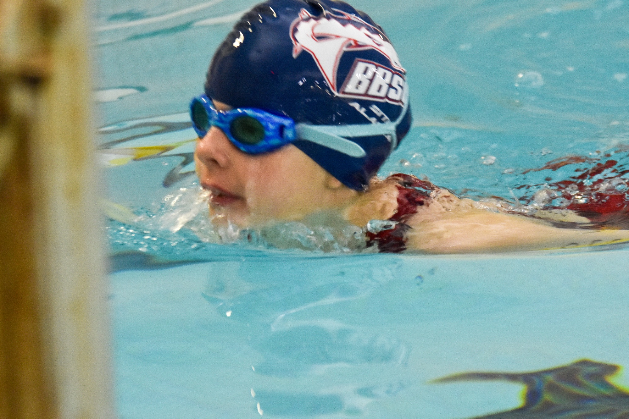 Baranof Barracudas Swim Club Home