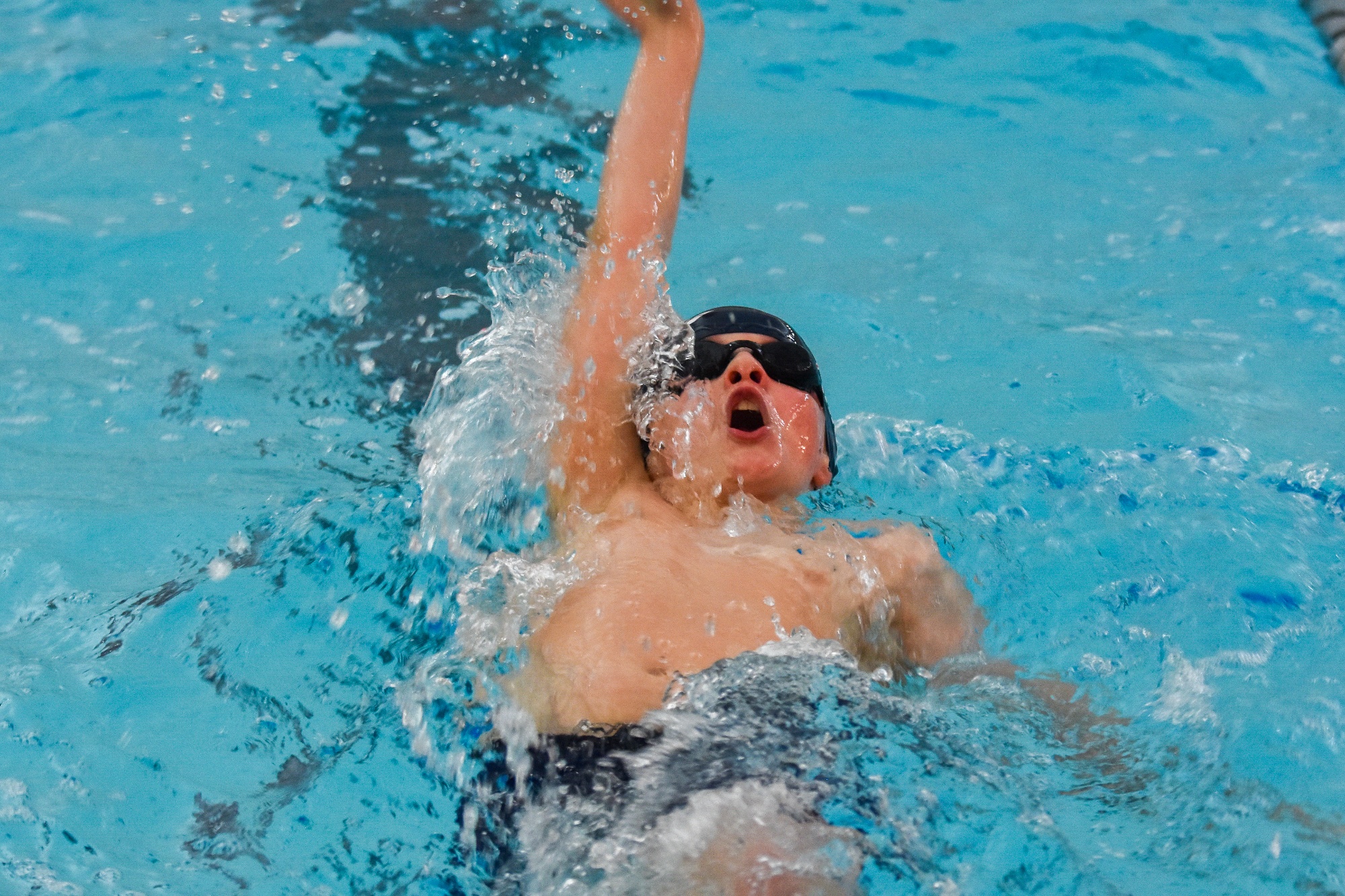 Baranof Barracudas Swim Club Home