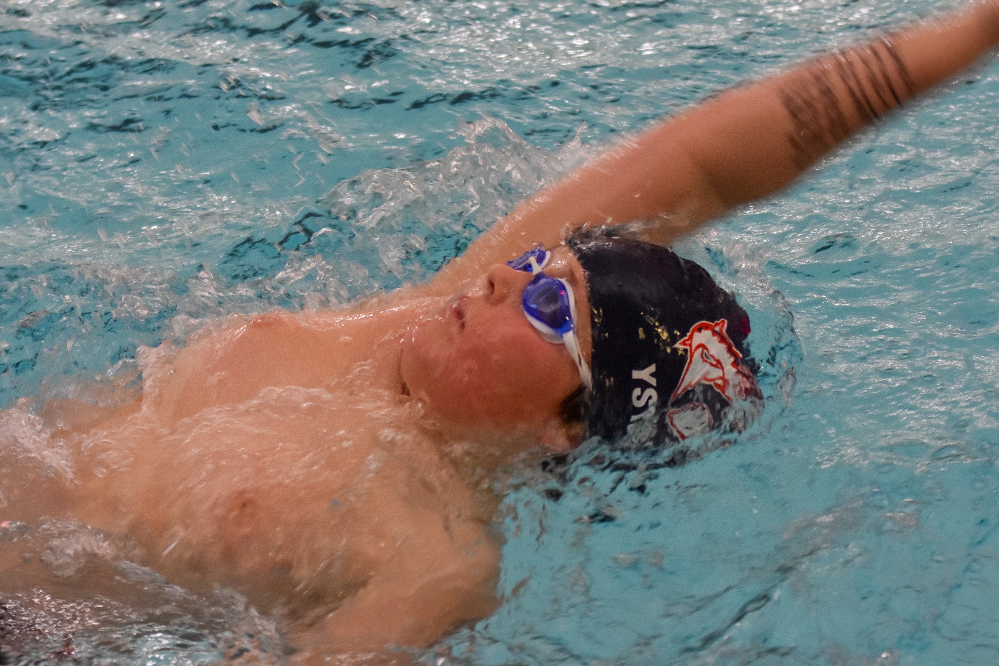 Baranof Barracudas Swim Club Home