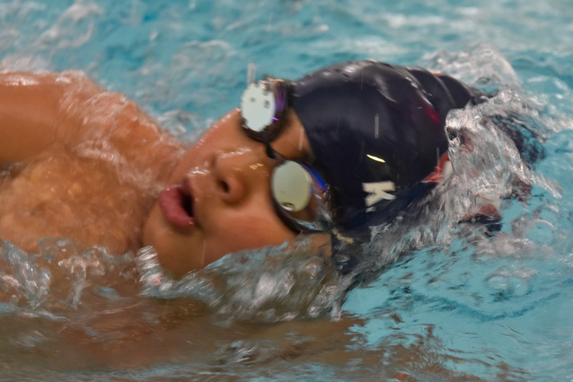 Baranof Barracudas Swim Club Home