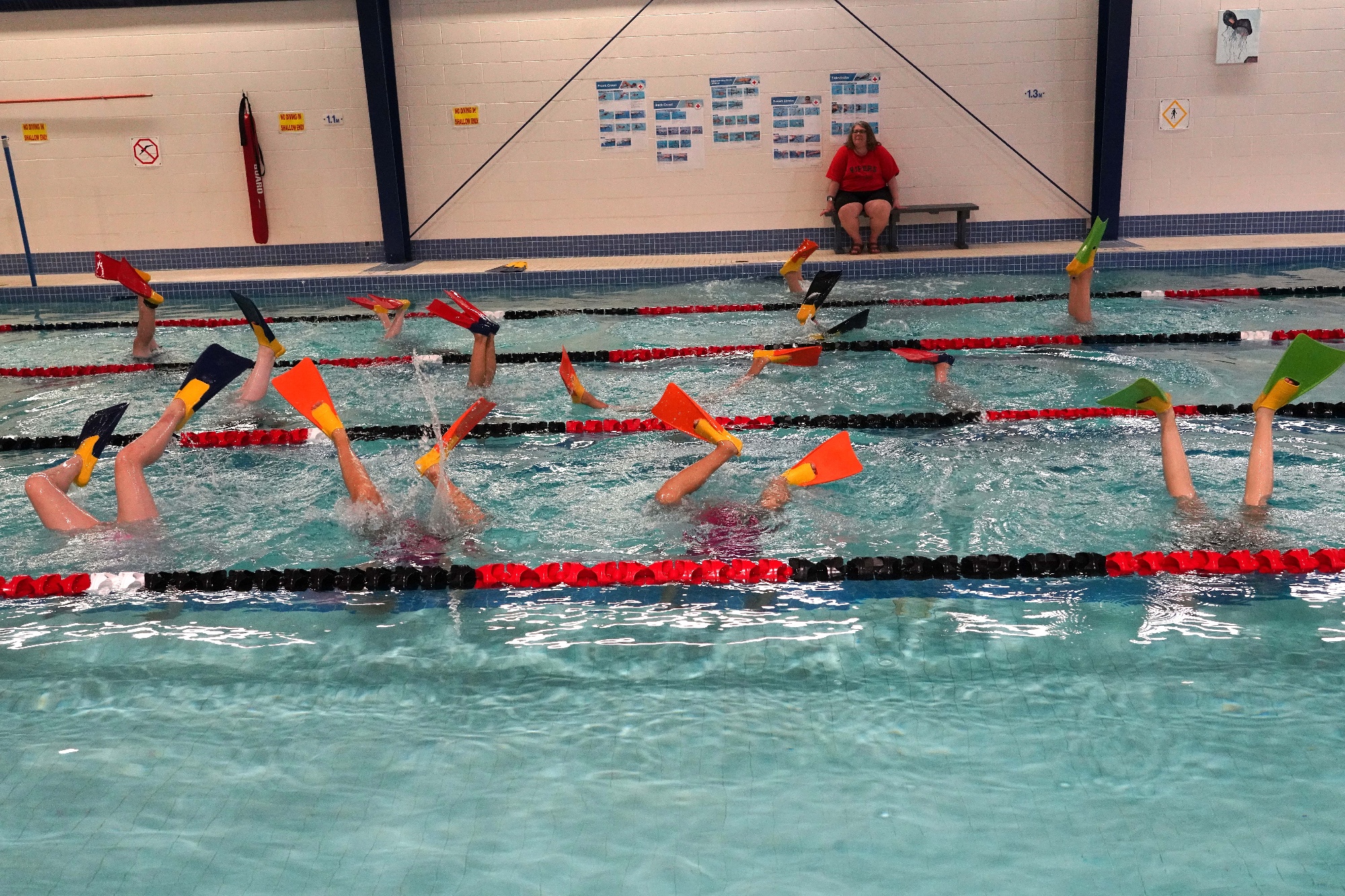 Vermilion Vipers Swim Club Home