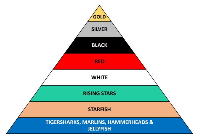 Phoenix Swim Club - Practice Groups