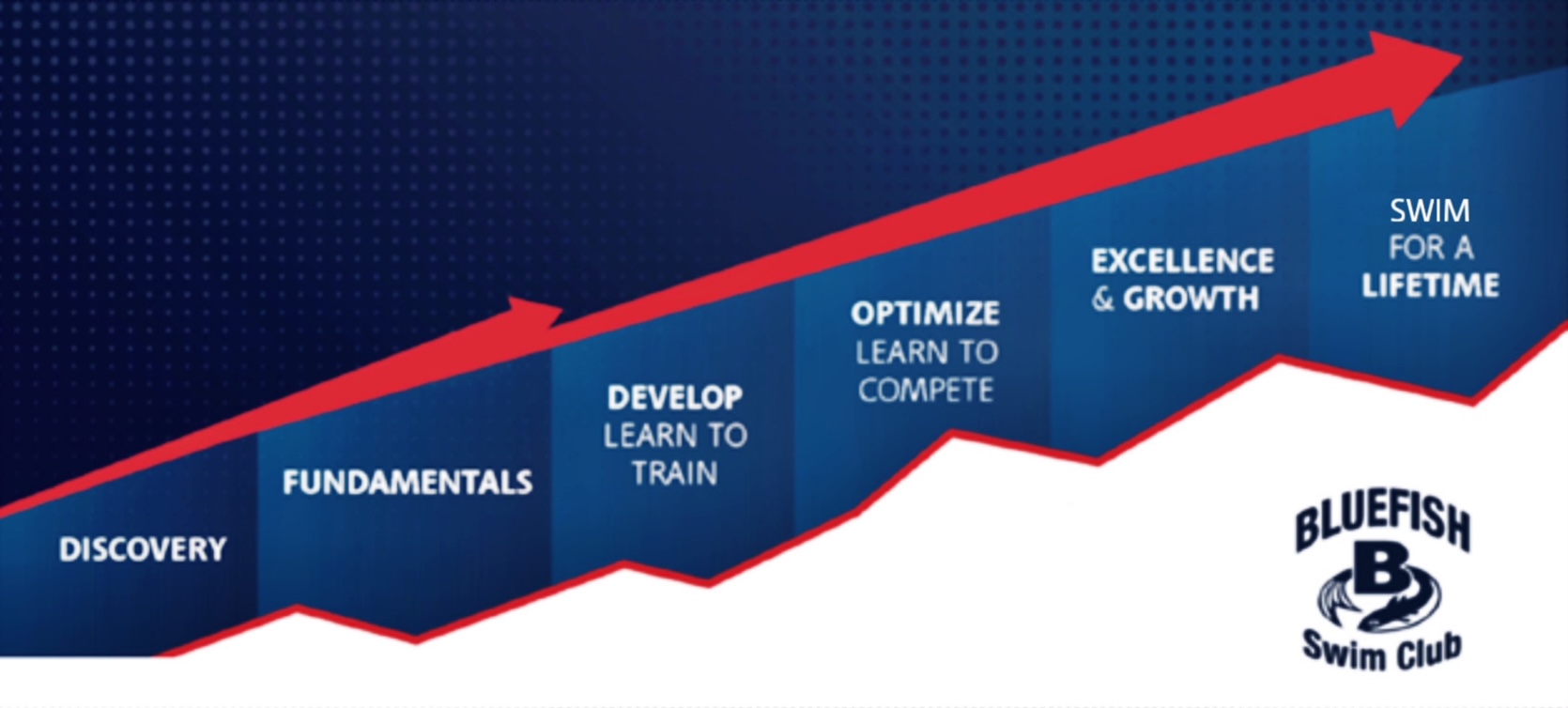 Bluefish Maine - Club History