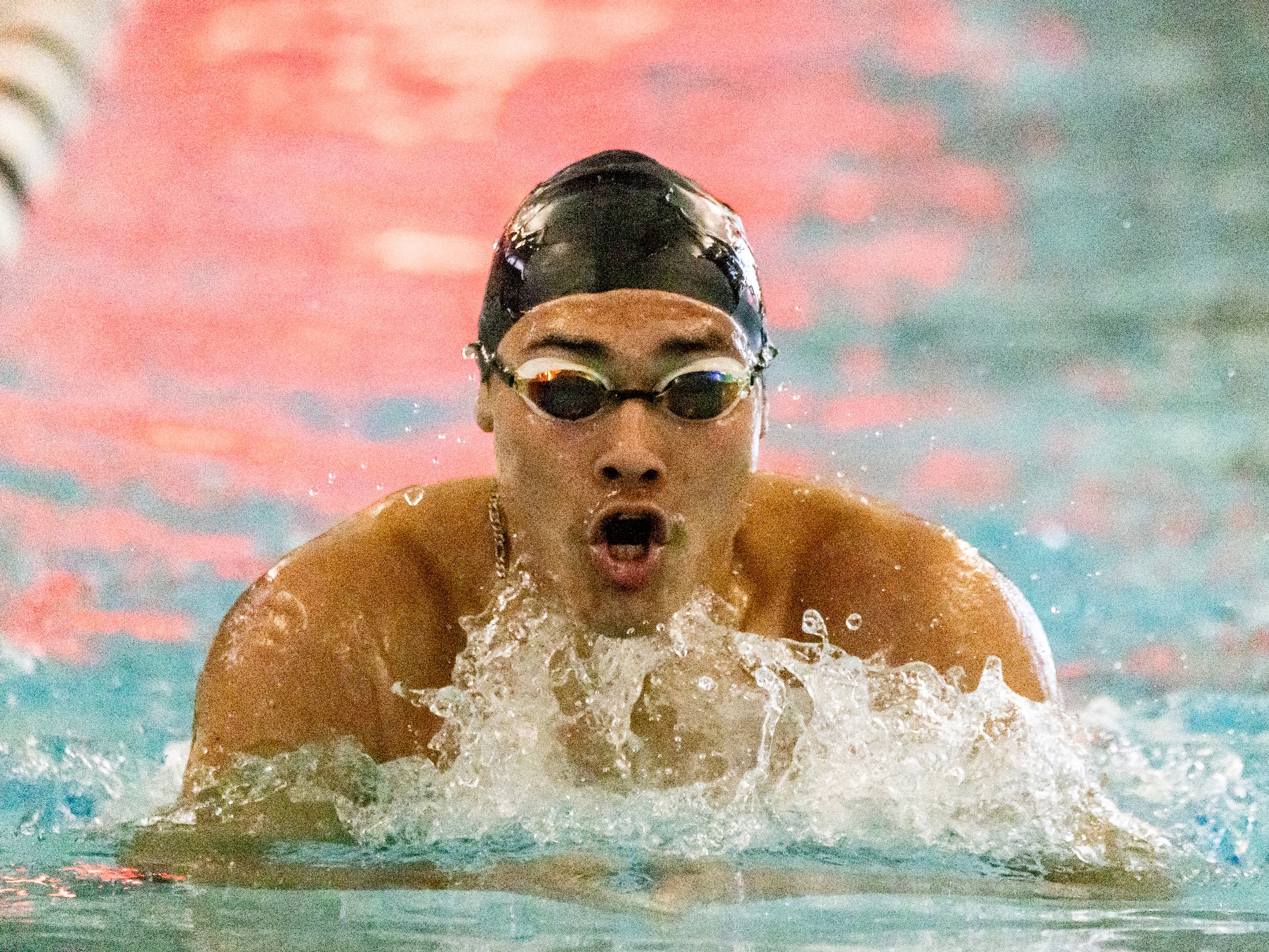 Desert Sharks Swim Club Home