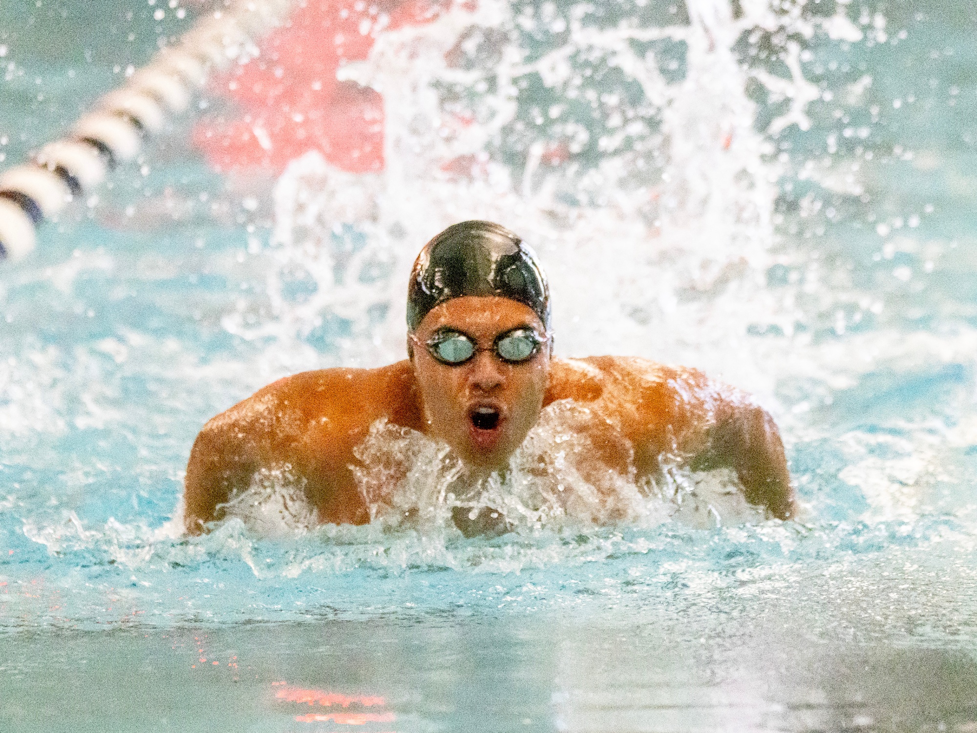 Desert Sharks Swim Club Home