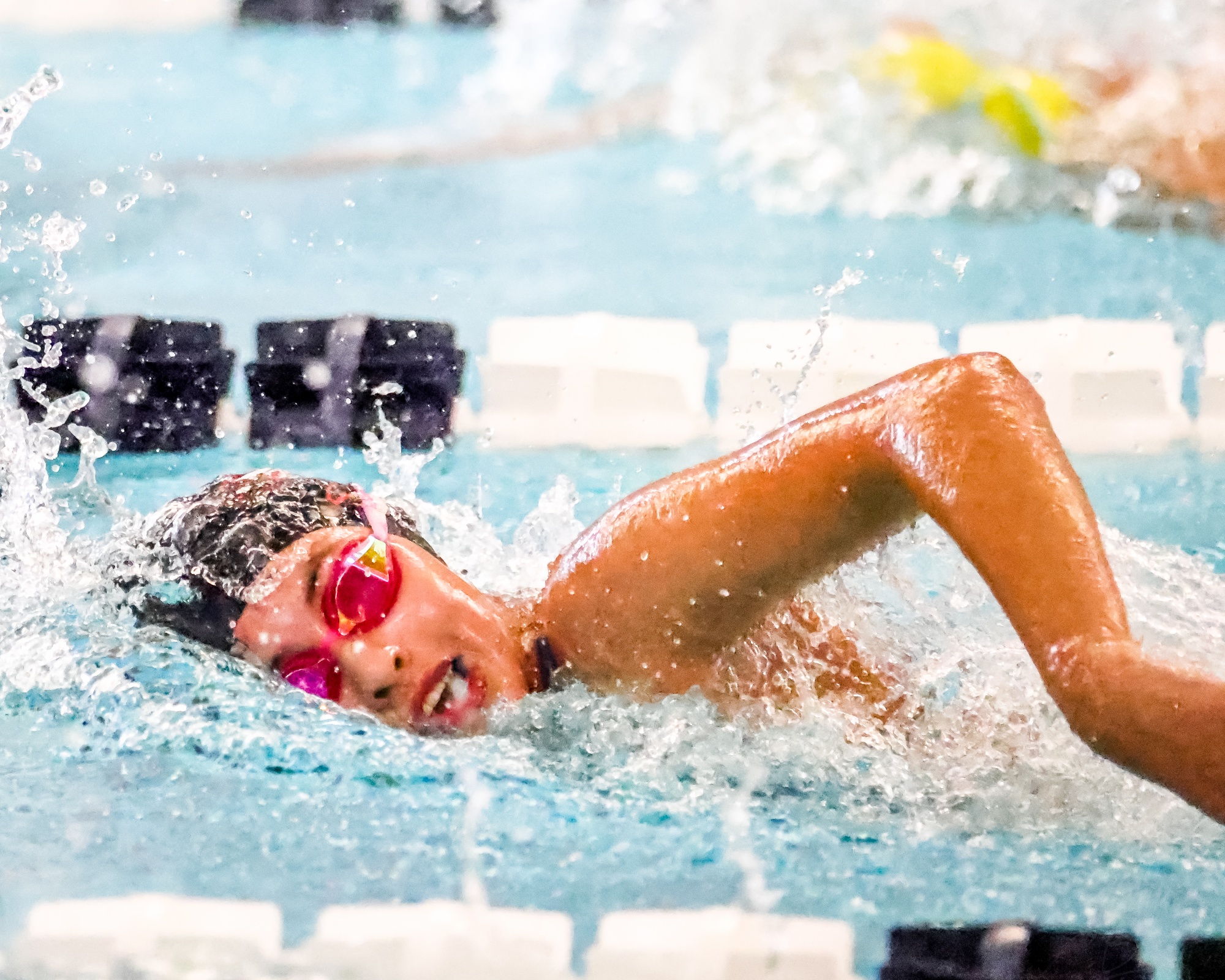 Desert Sharks Swim Club Home