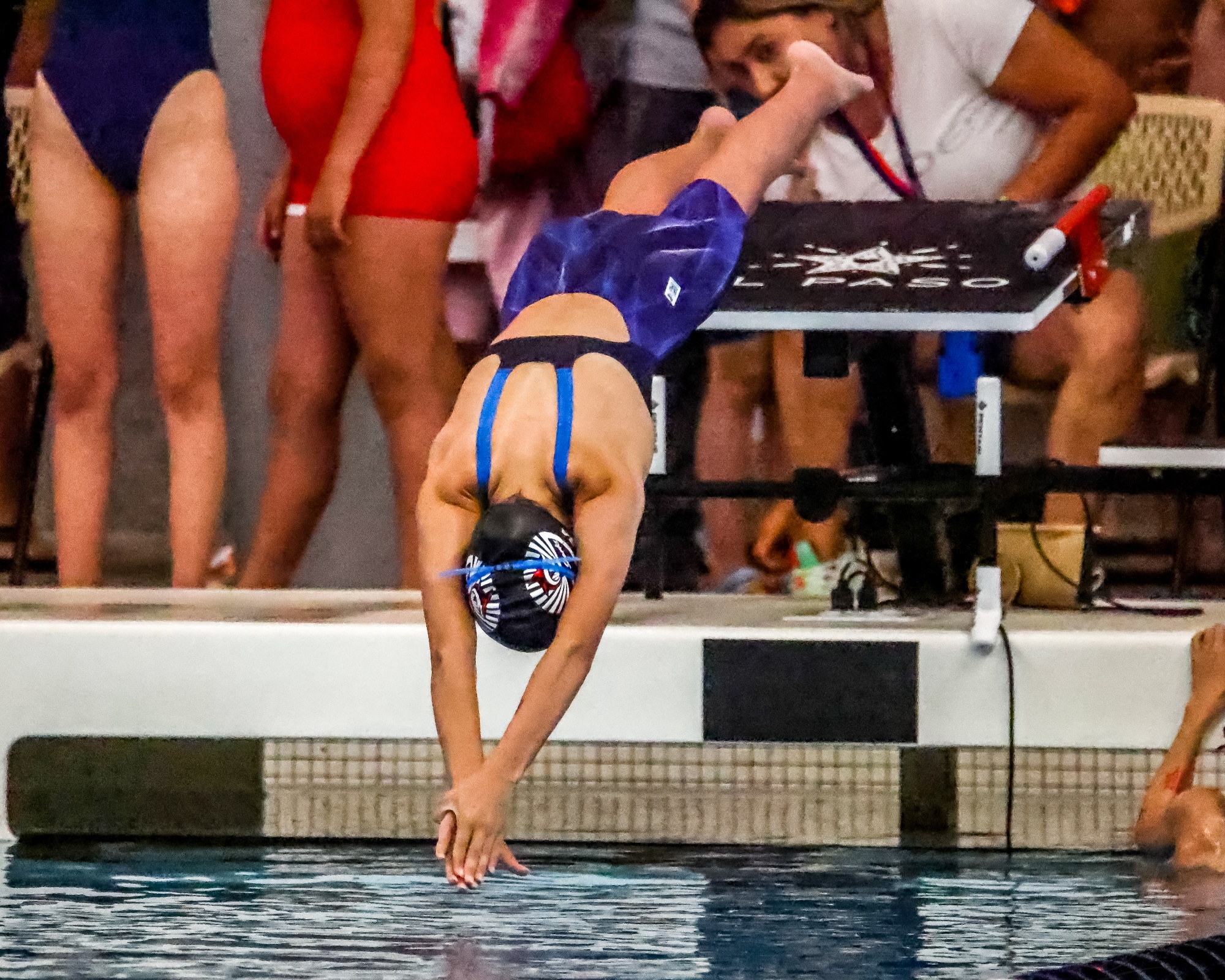 Desert Sharks Swim Club Home