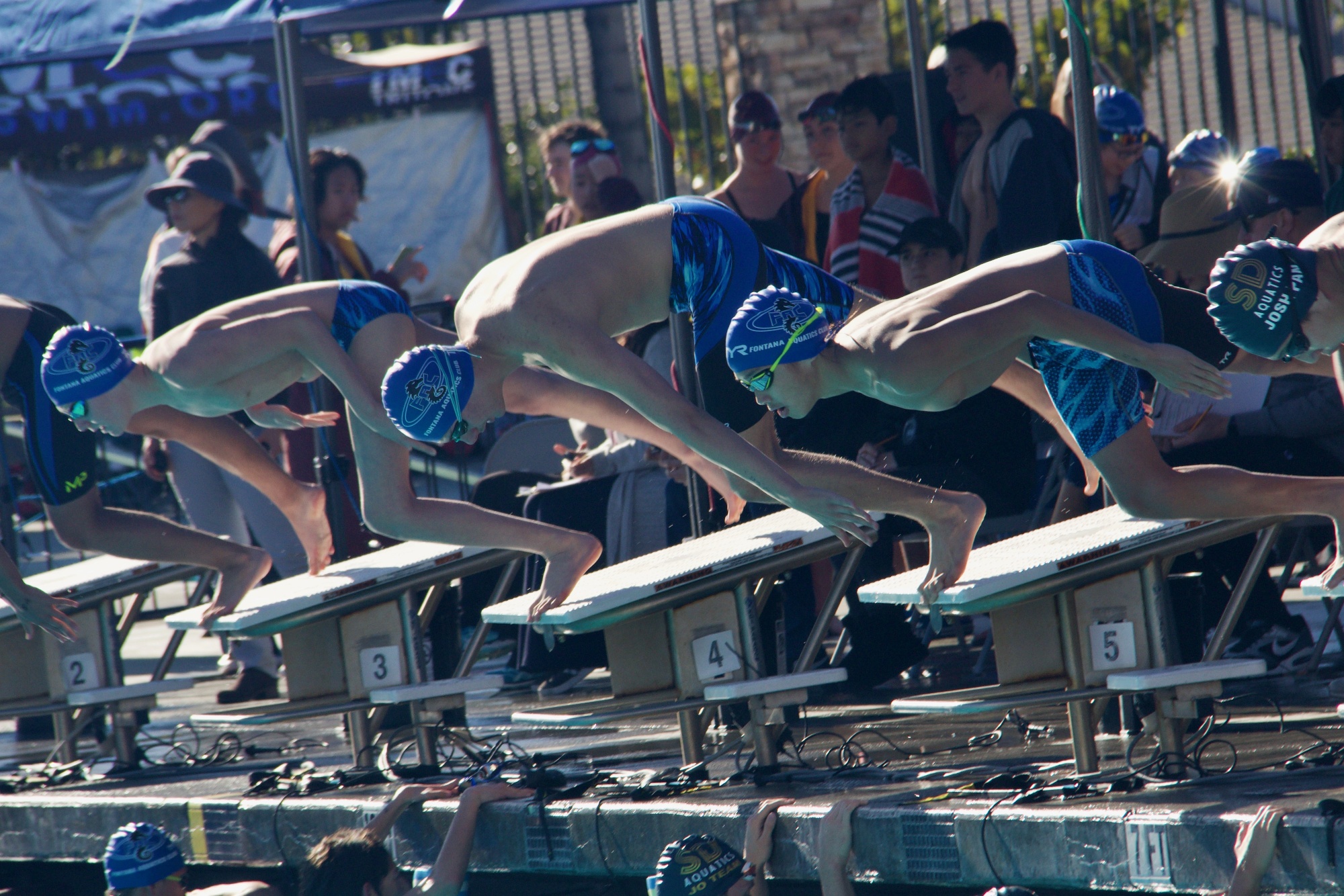 Fontana Aquatics Club Home