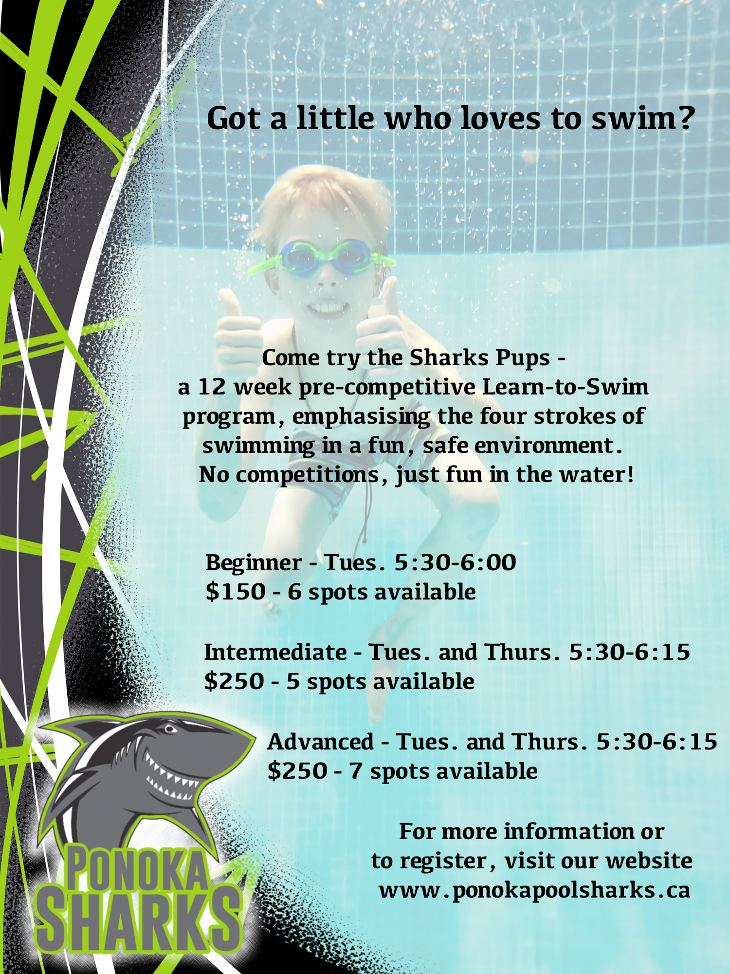 Ponoka Swim Club - Shark Pups Program