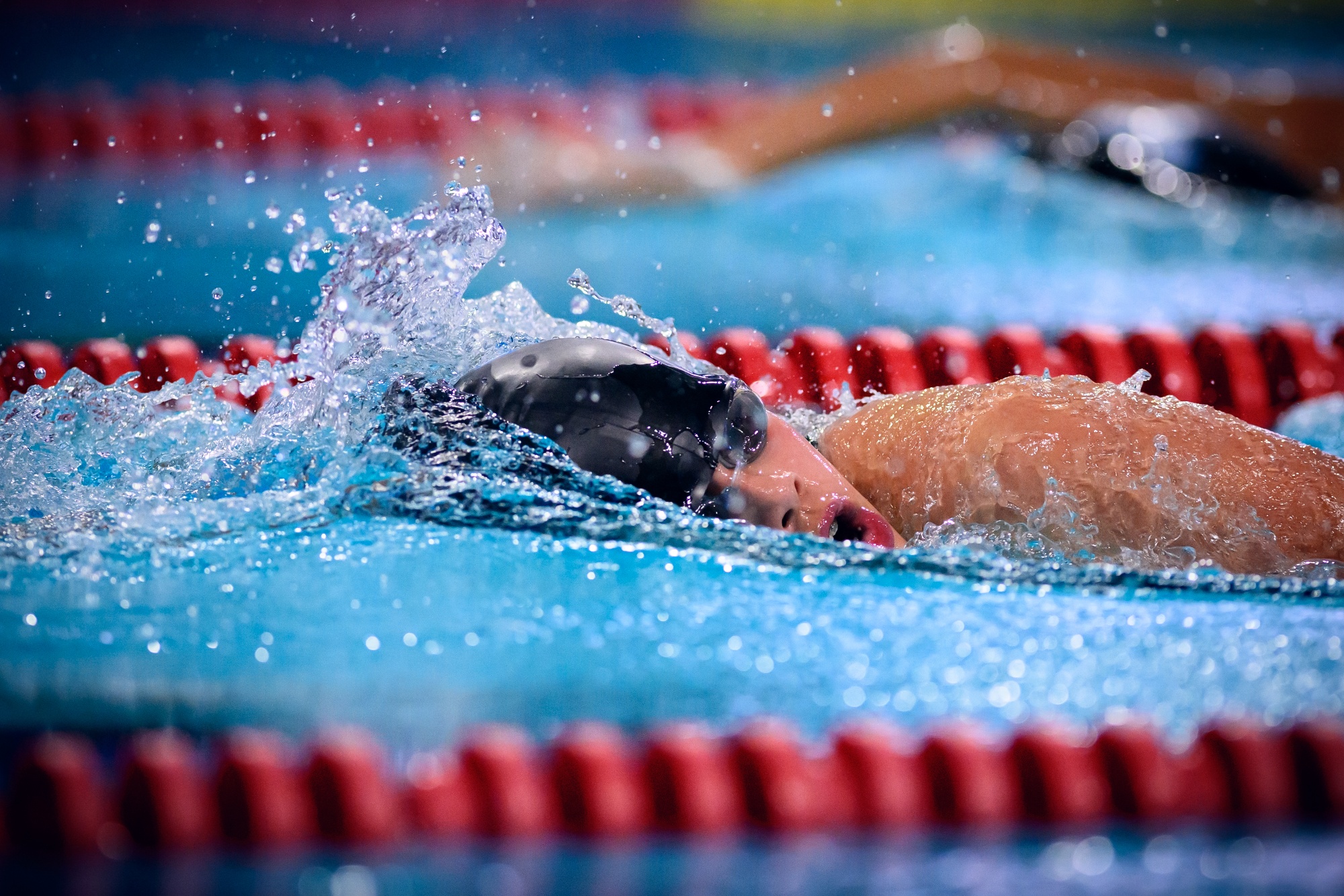 Toronto Swim Club Home