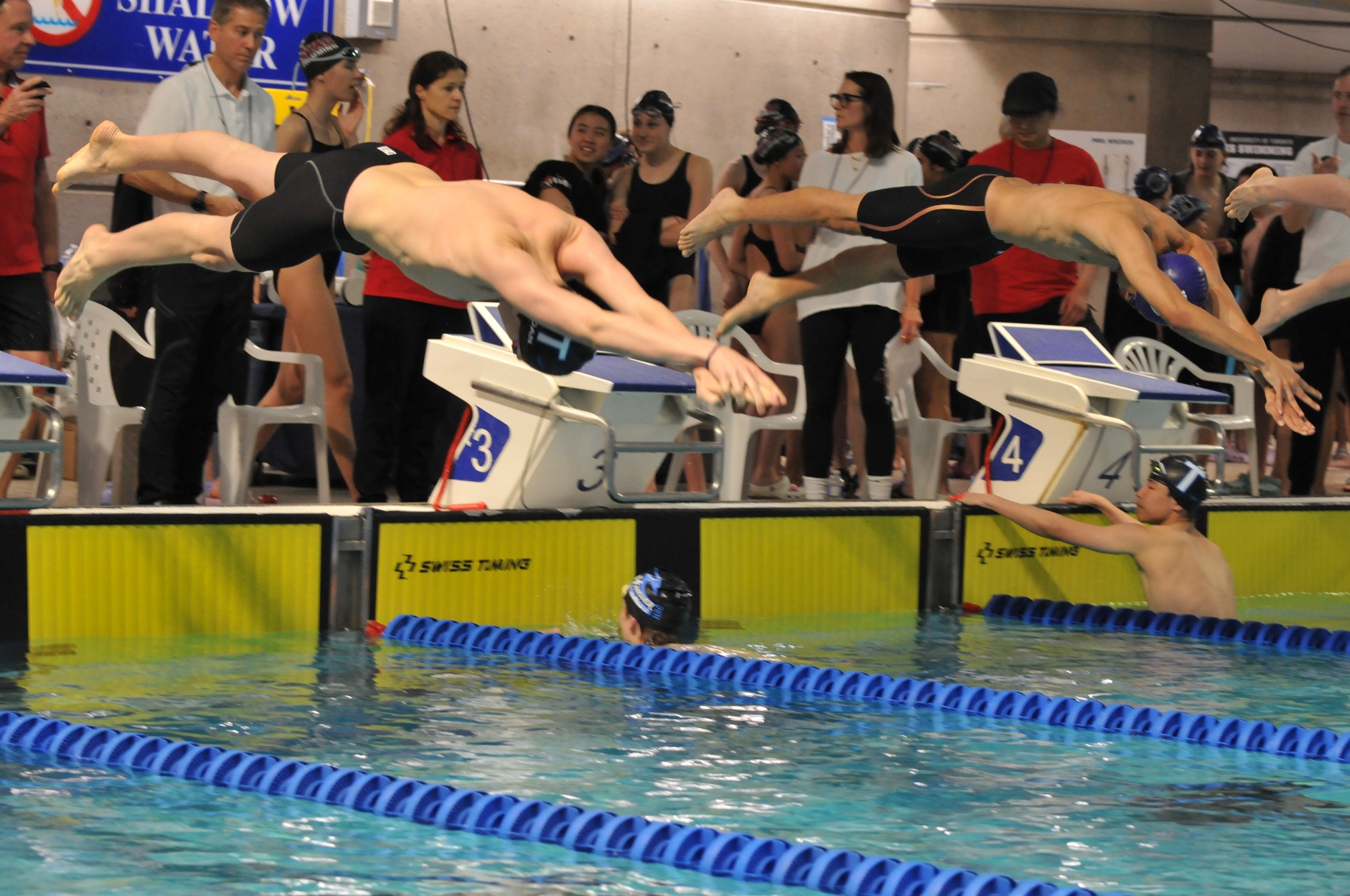 Toronto Swim Club Home