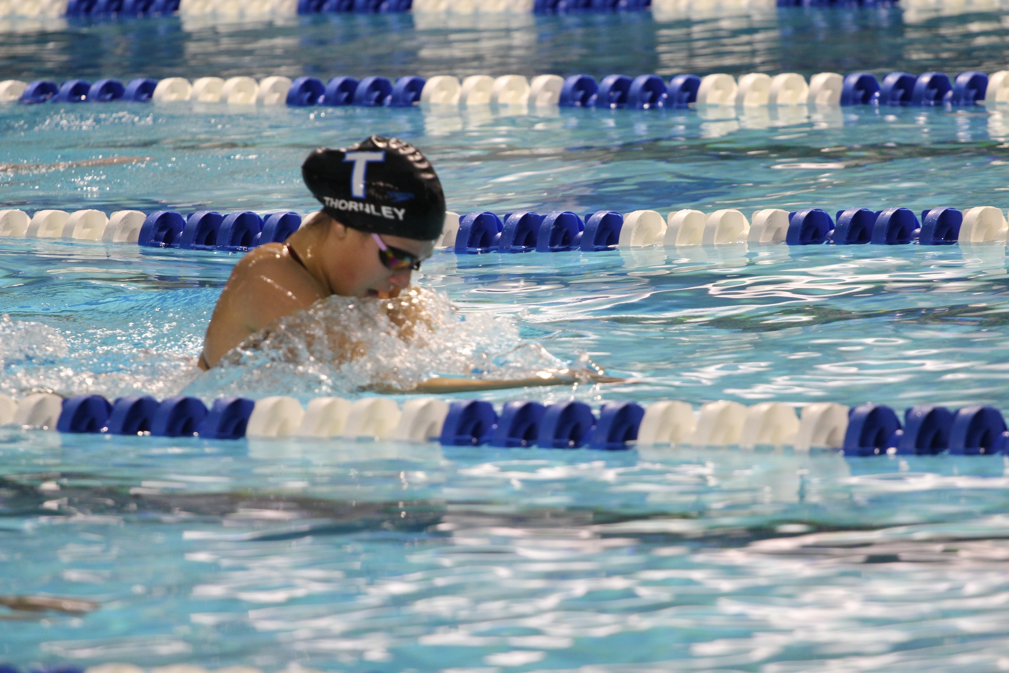 Toronto Swim Club Home