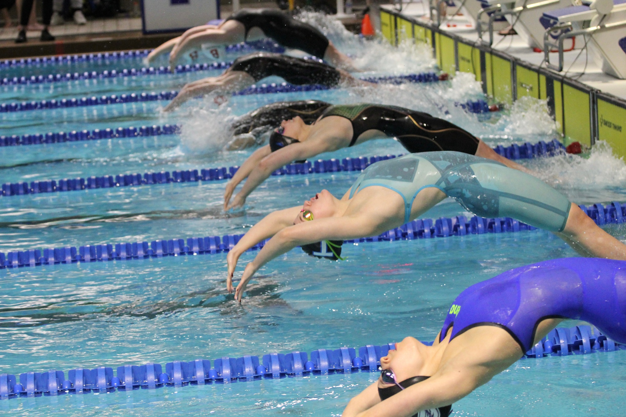Toronto Swim Club Home