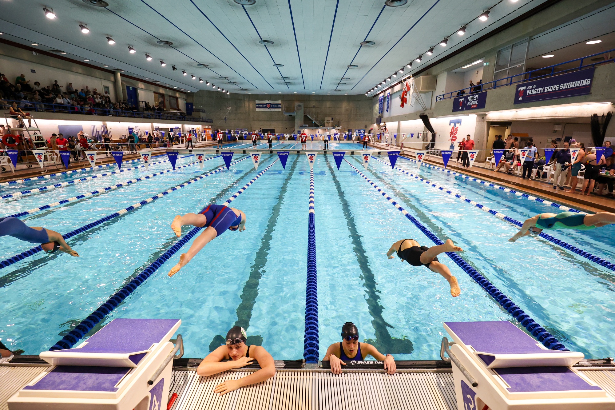 Toronto Swim Club Home
