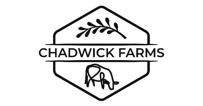 Belleville Beast Swim Team Home