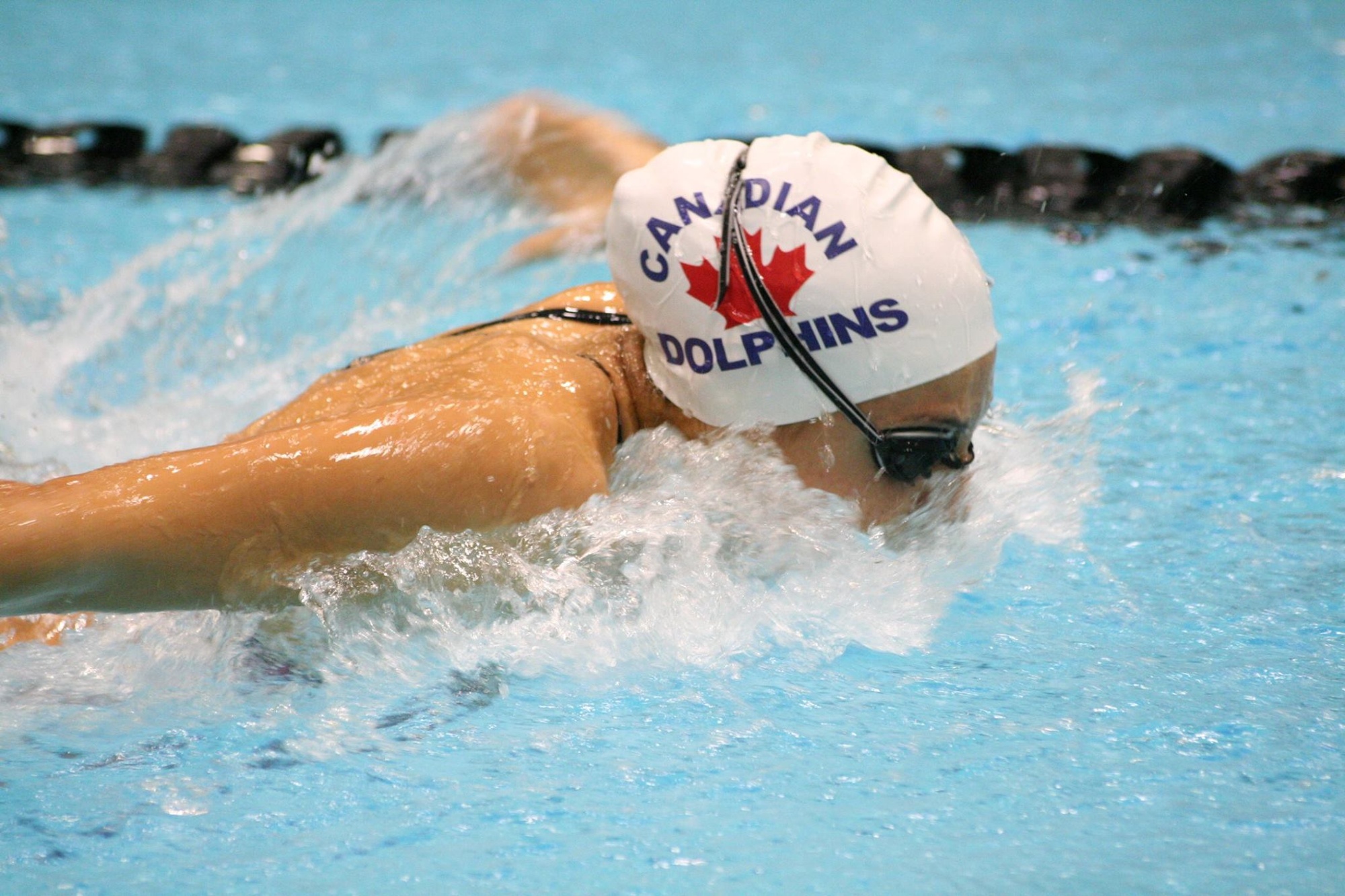 Canadian Dolphin Swim Club Home