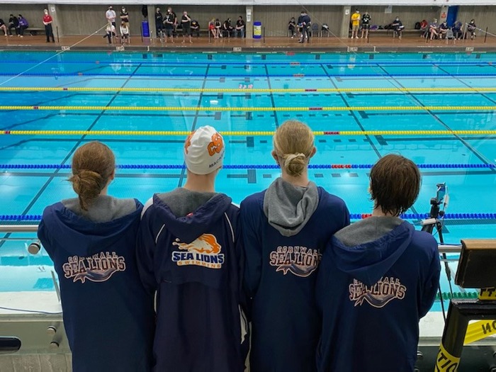 Cornwall Sea Lions Home