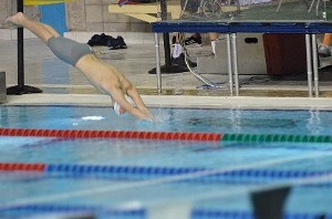 Cornwall Sea Lions Home