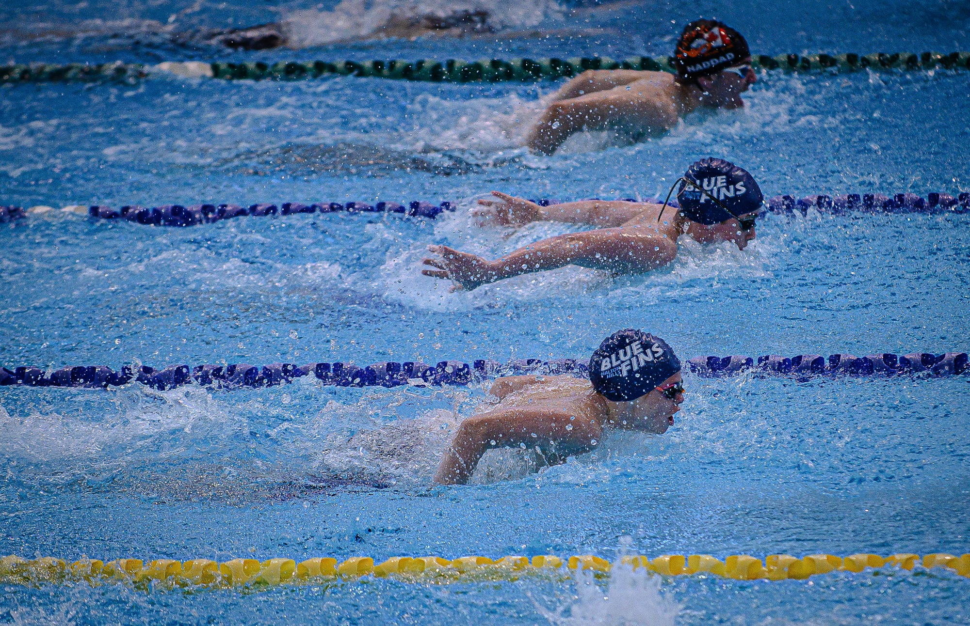 Halton Hills Blue Fins Home