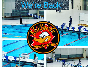 Mallards Swim Team Home