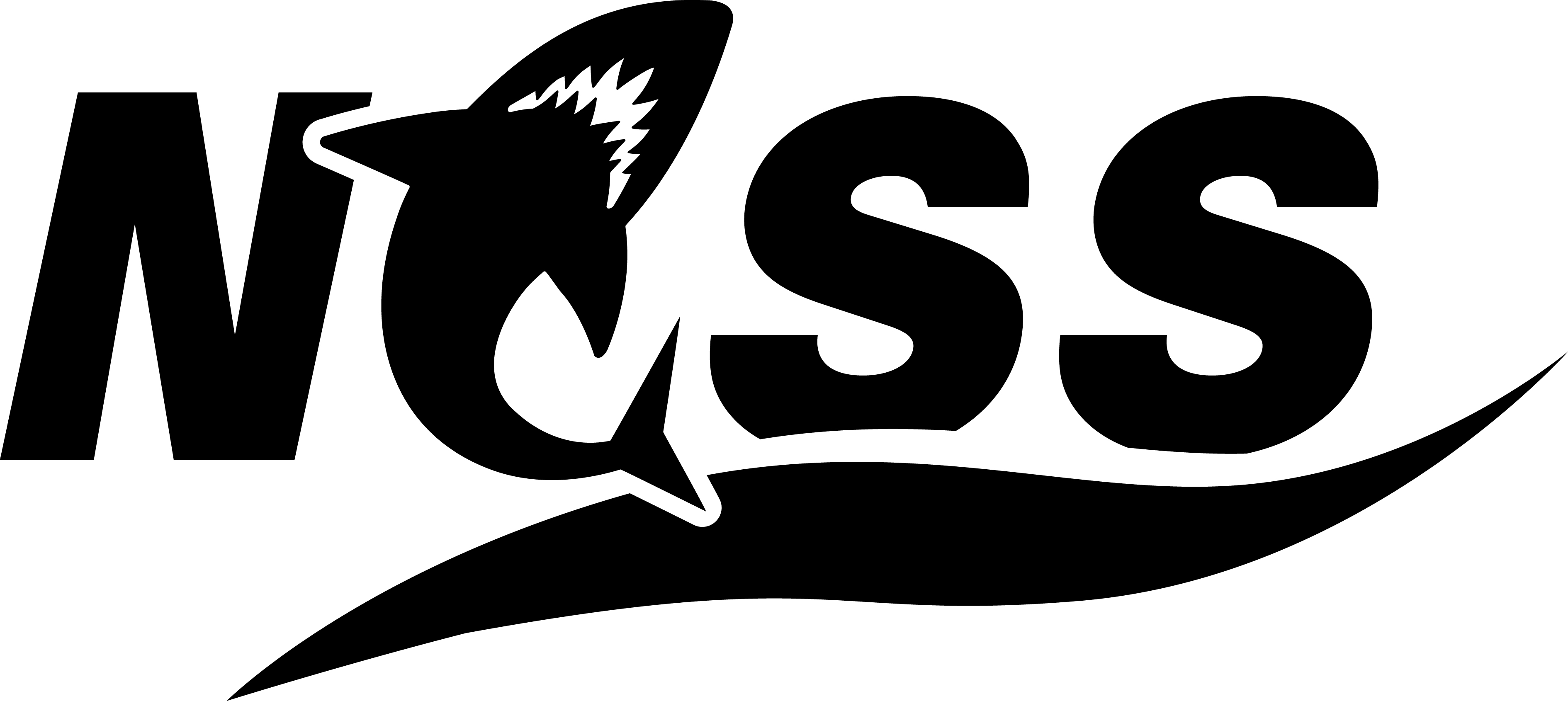 Nose Creek Shark School - Info & Schedule