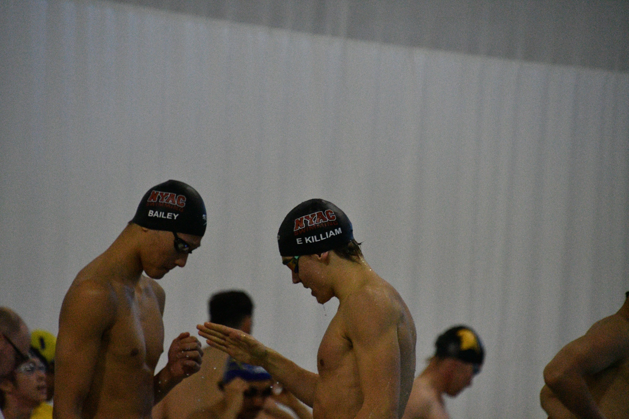 North York Aquatic Club Home