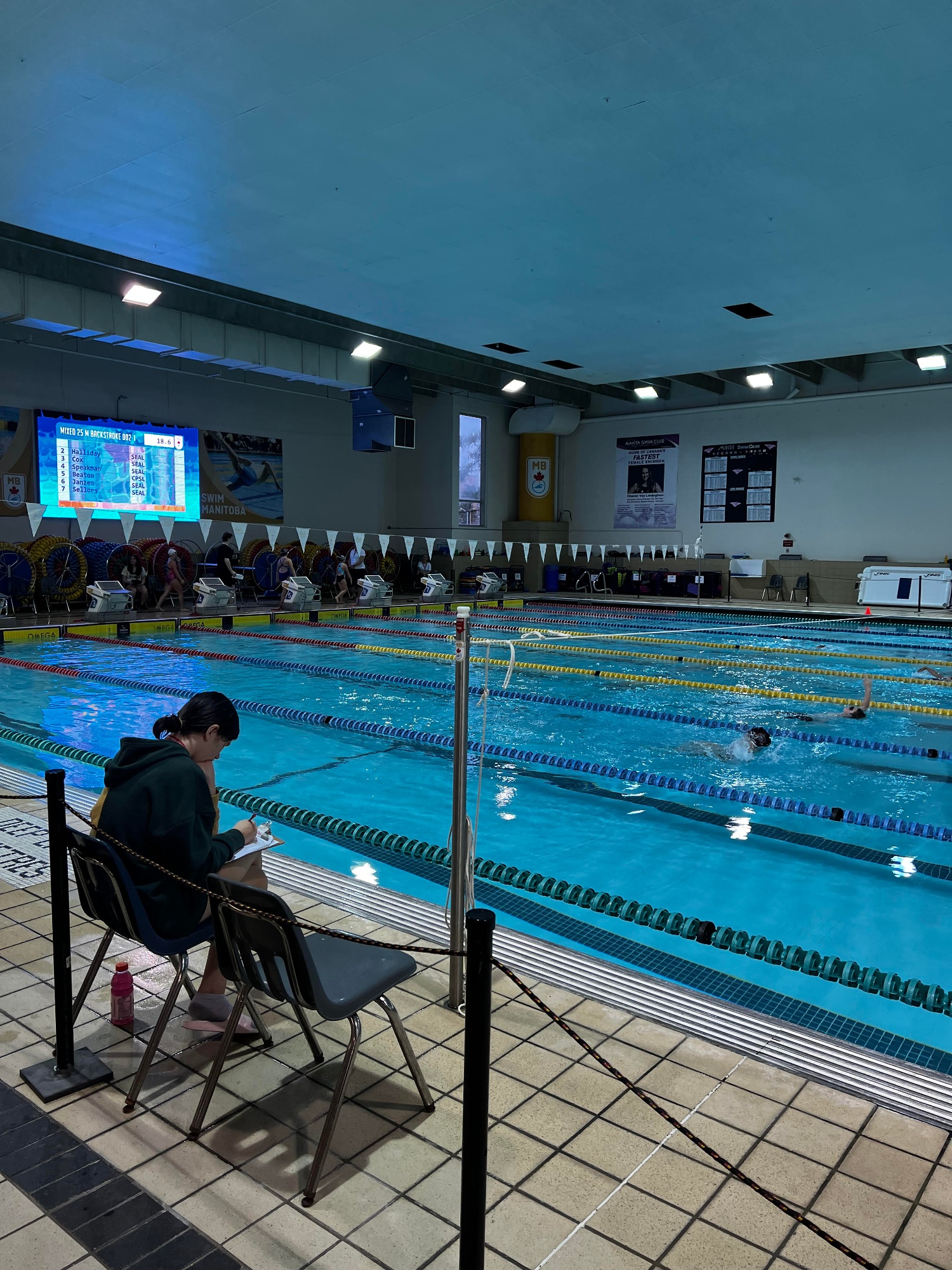 St James Seals Swim Club Home