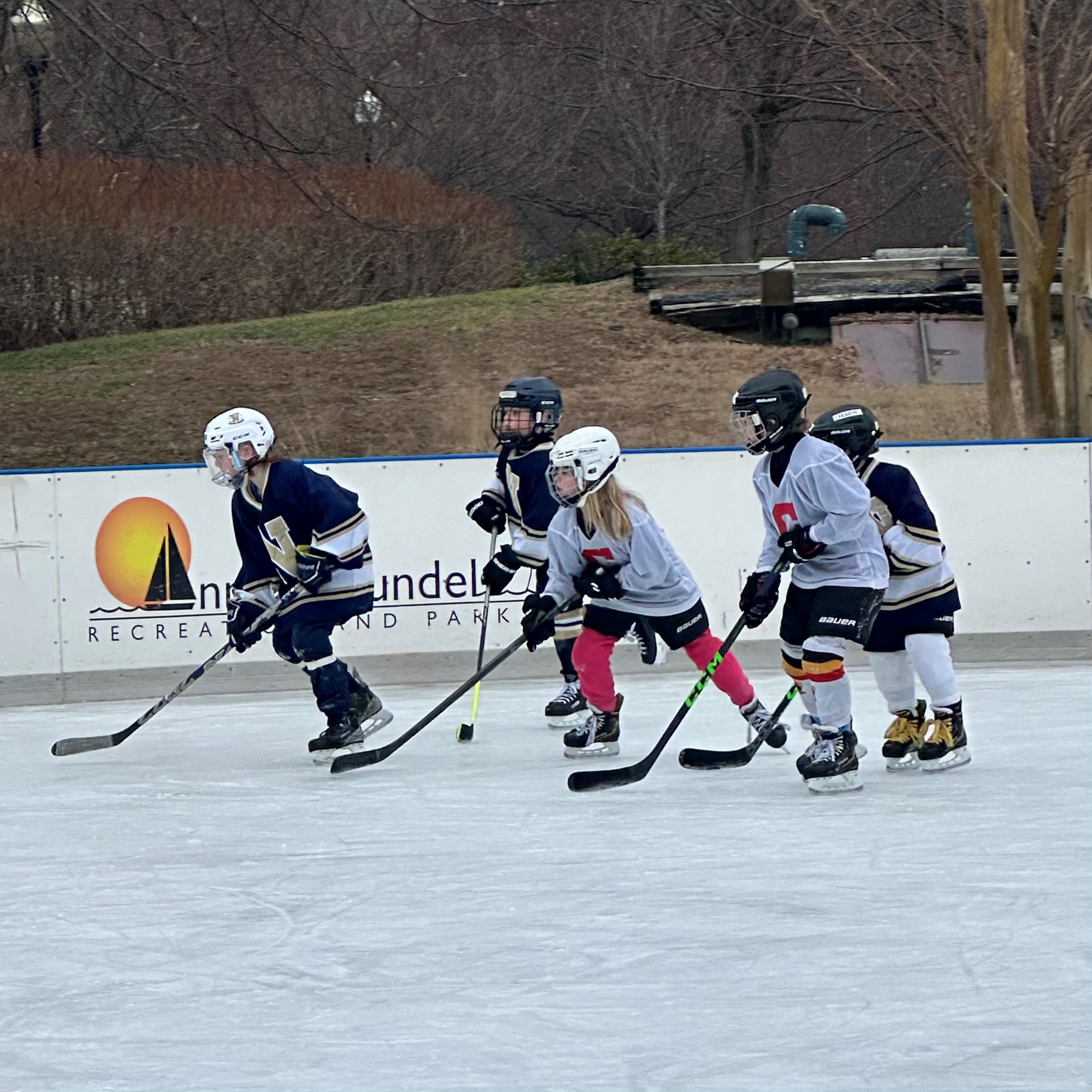 Chevy Chase Club Hockey And Figure Skating - Facilities