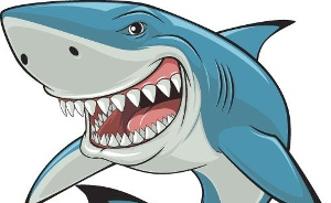 High Point Swim Club Home