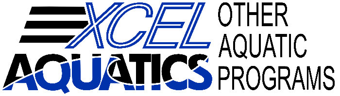 Excel Aquatics Lessons Program - Longview Rec Center