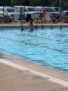 Cortez Water Dragons Home