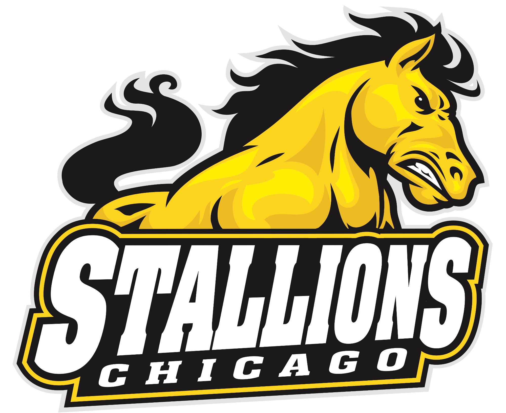 Chicago Stallions Hockey Home