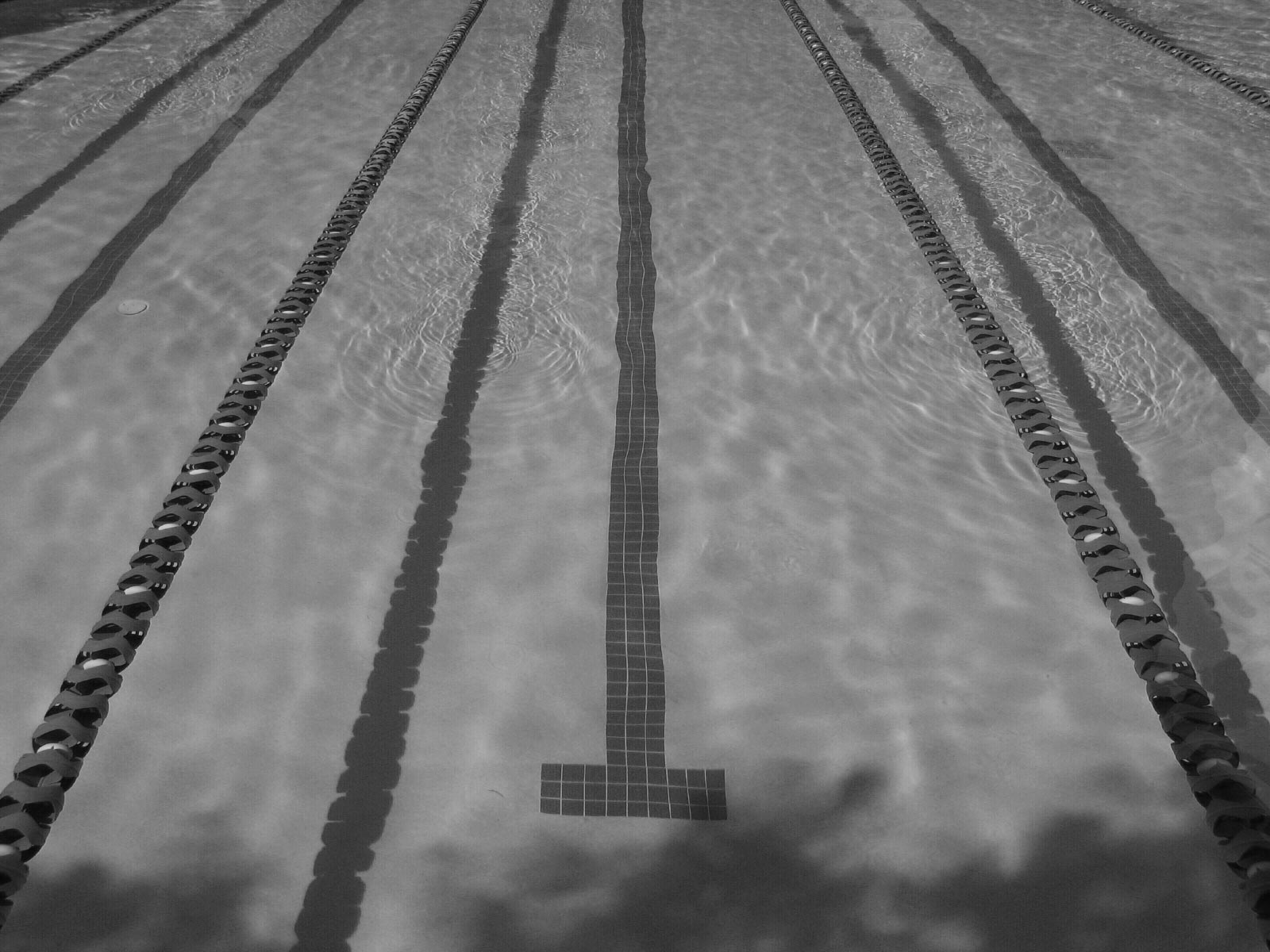 Albany Starfish Swim Club