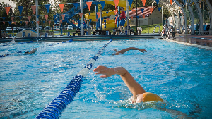 Wellington Swim Team (FG) Home