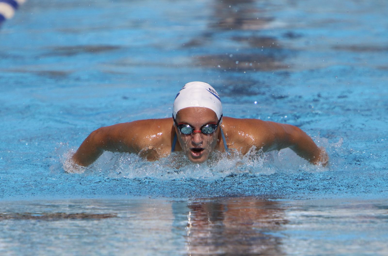 Blue Wave Swimming - Swim Camps