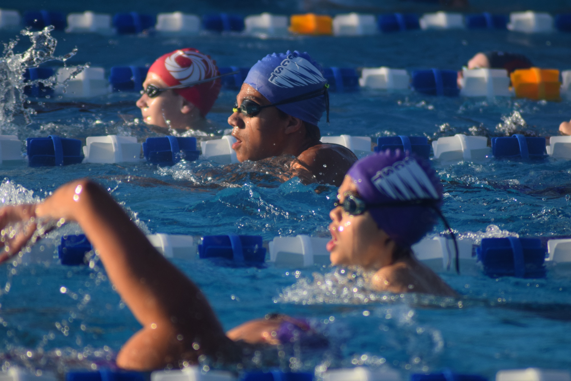 Celebration Cyclones Home