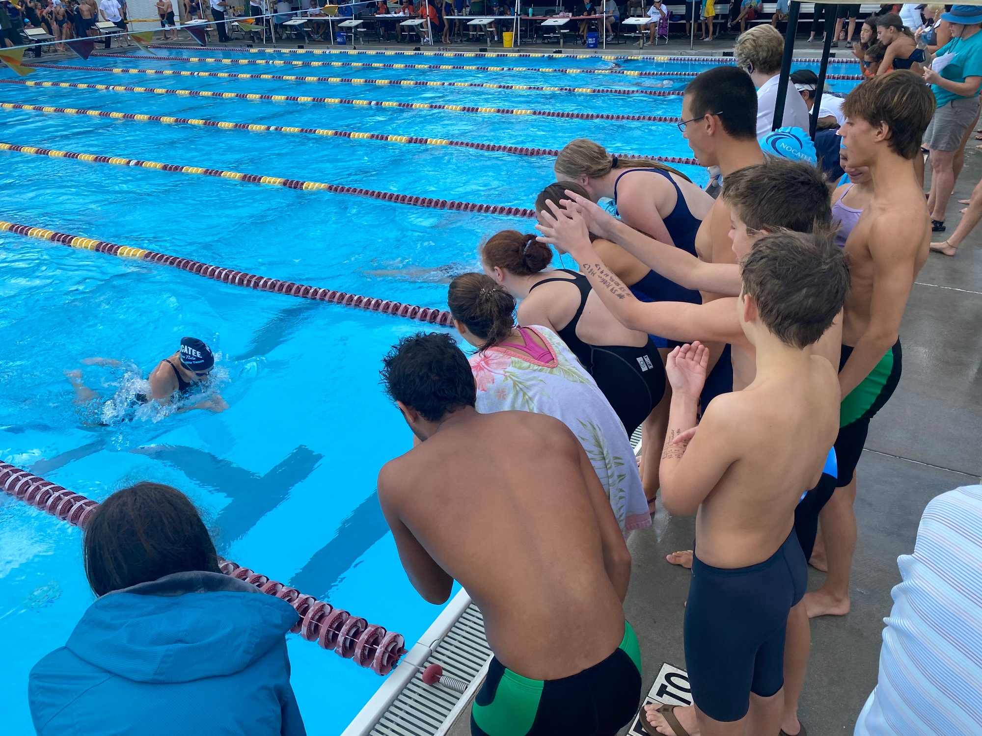 Nocatee Bluetide Swim Team Home