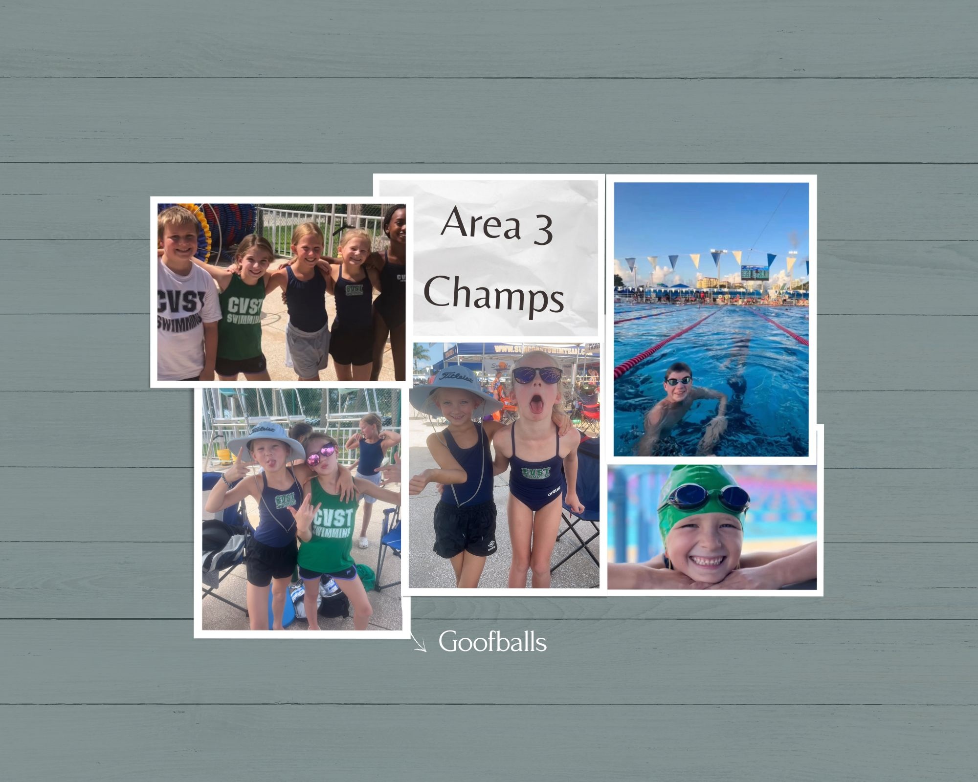 Carrollwood Village Swim Team Home