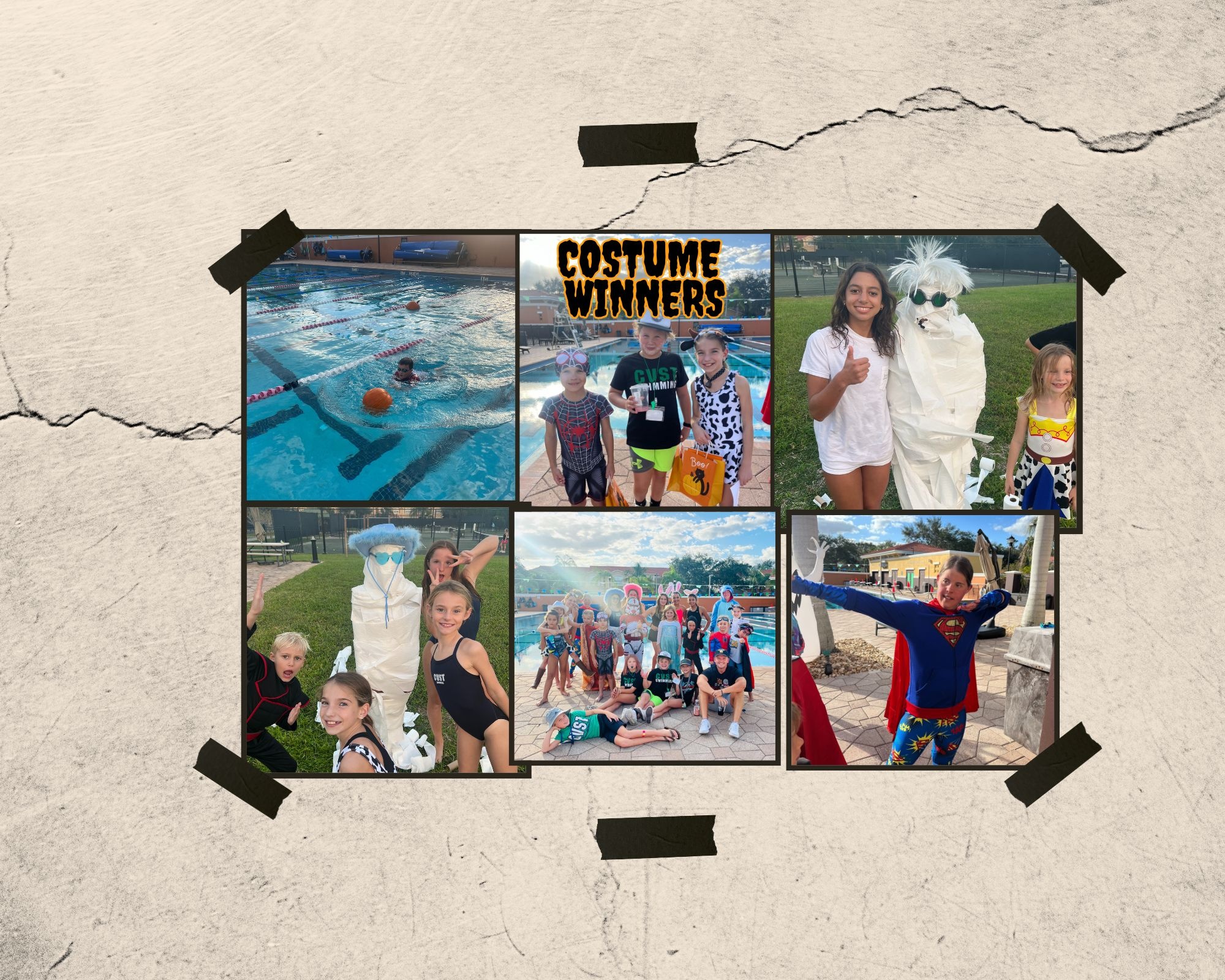 Carrollwood Village Swim Team Home